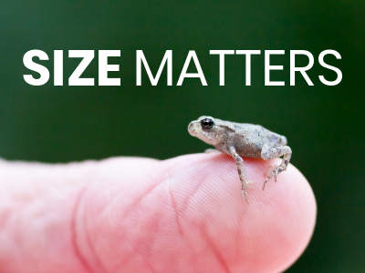 The hub of communities – where size sometimes matters | Clarity CIC